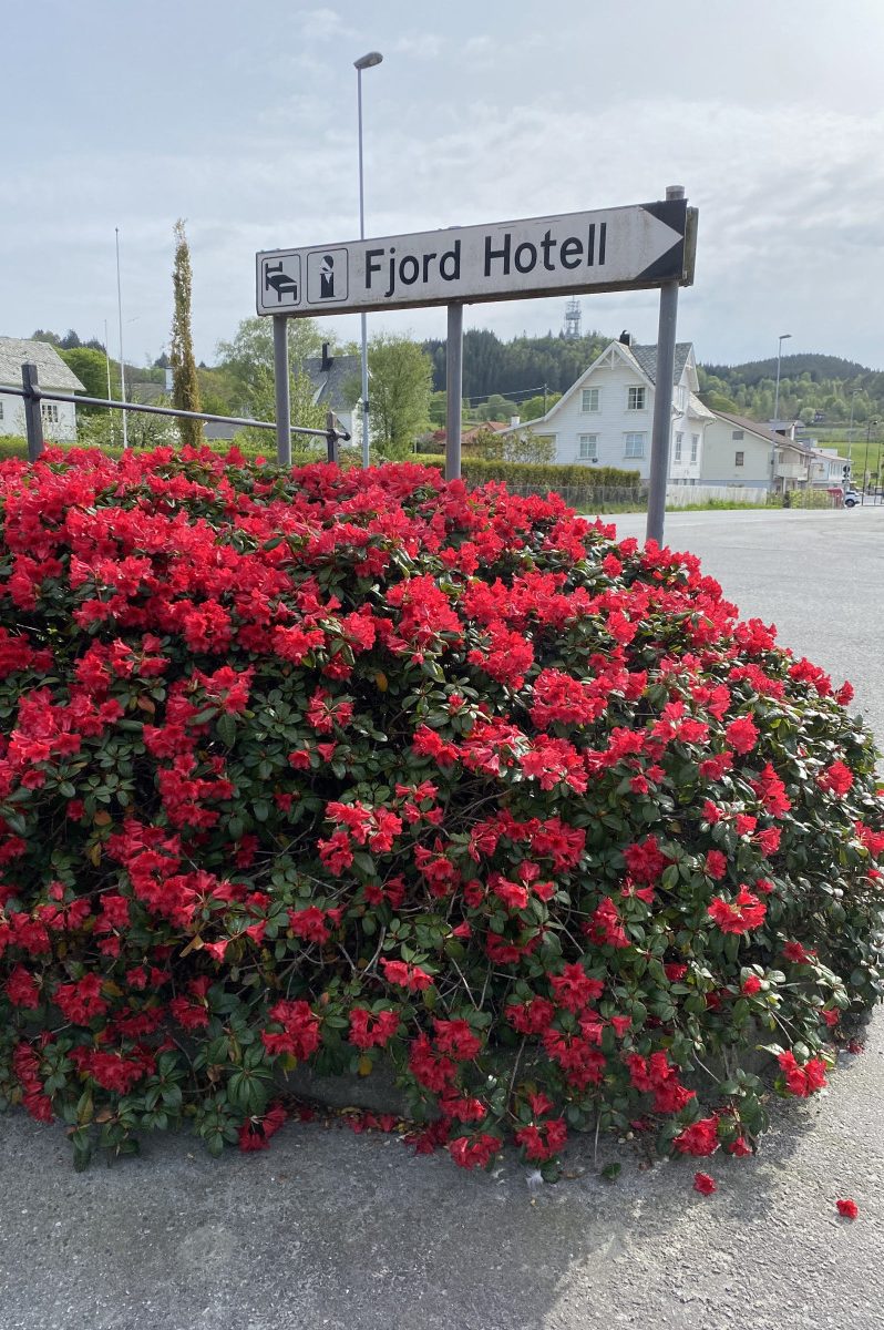 Fitjar Fjordhotell - Fitjar Fjordhotell